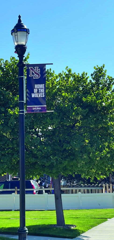 Community Concerns and School Support - Salina Sun