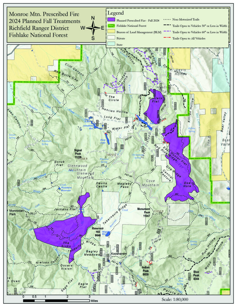Prescribed Burns - Salina Sun